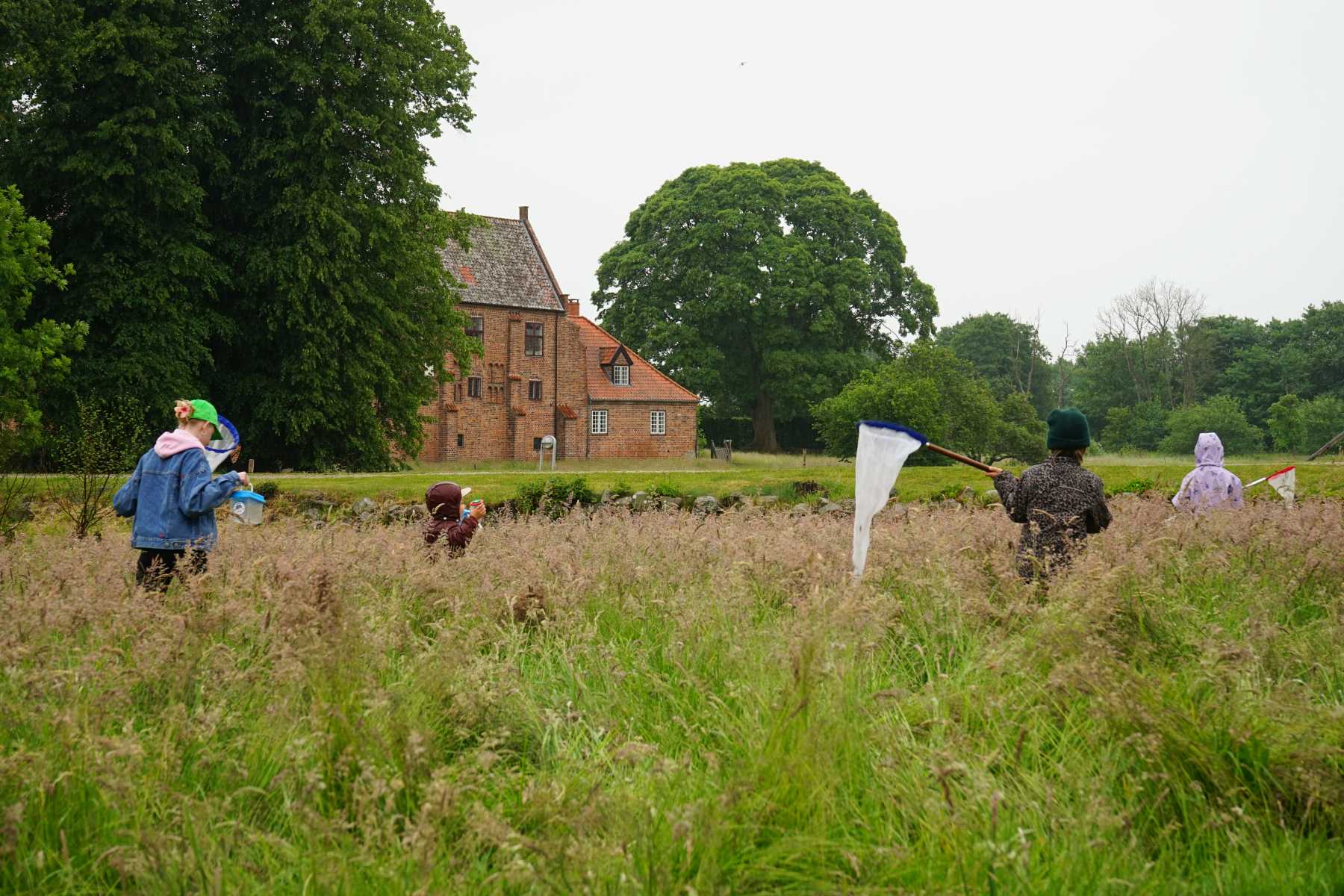 En bille og en snyltehveps, som aldrig er set før herhjemme: Eksperter ...